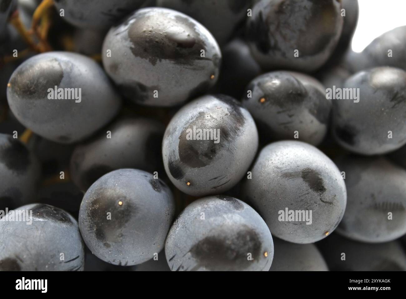 Fruit shell grapes hi-res stock photography and images - Alamy