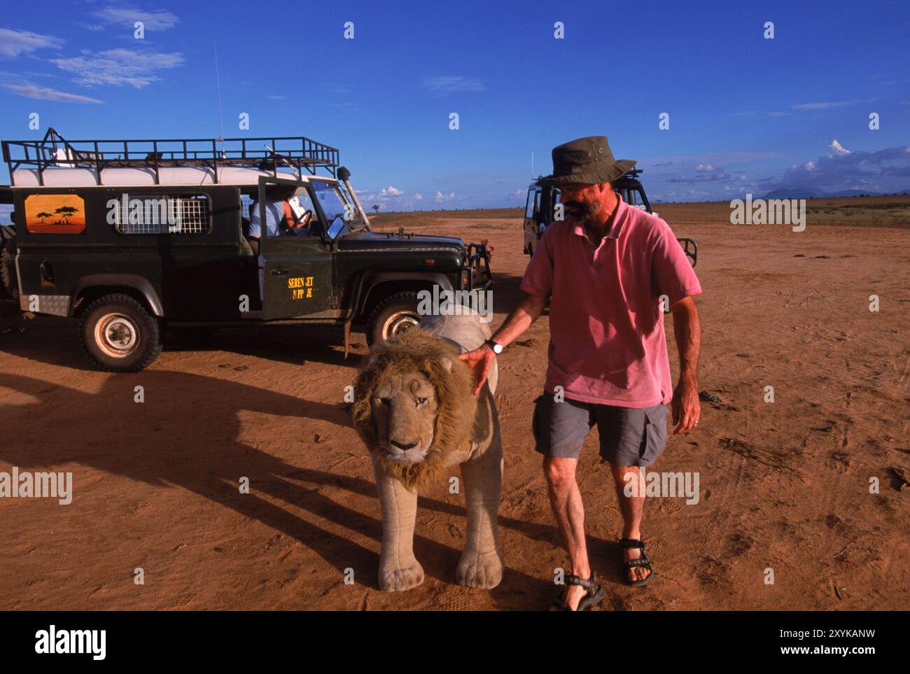 Dummy lion used to study lion behavior, Kenya Stock Photo - Alamy