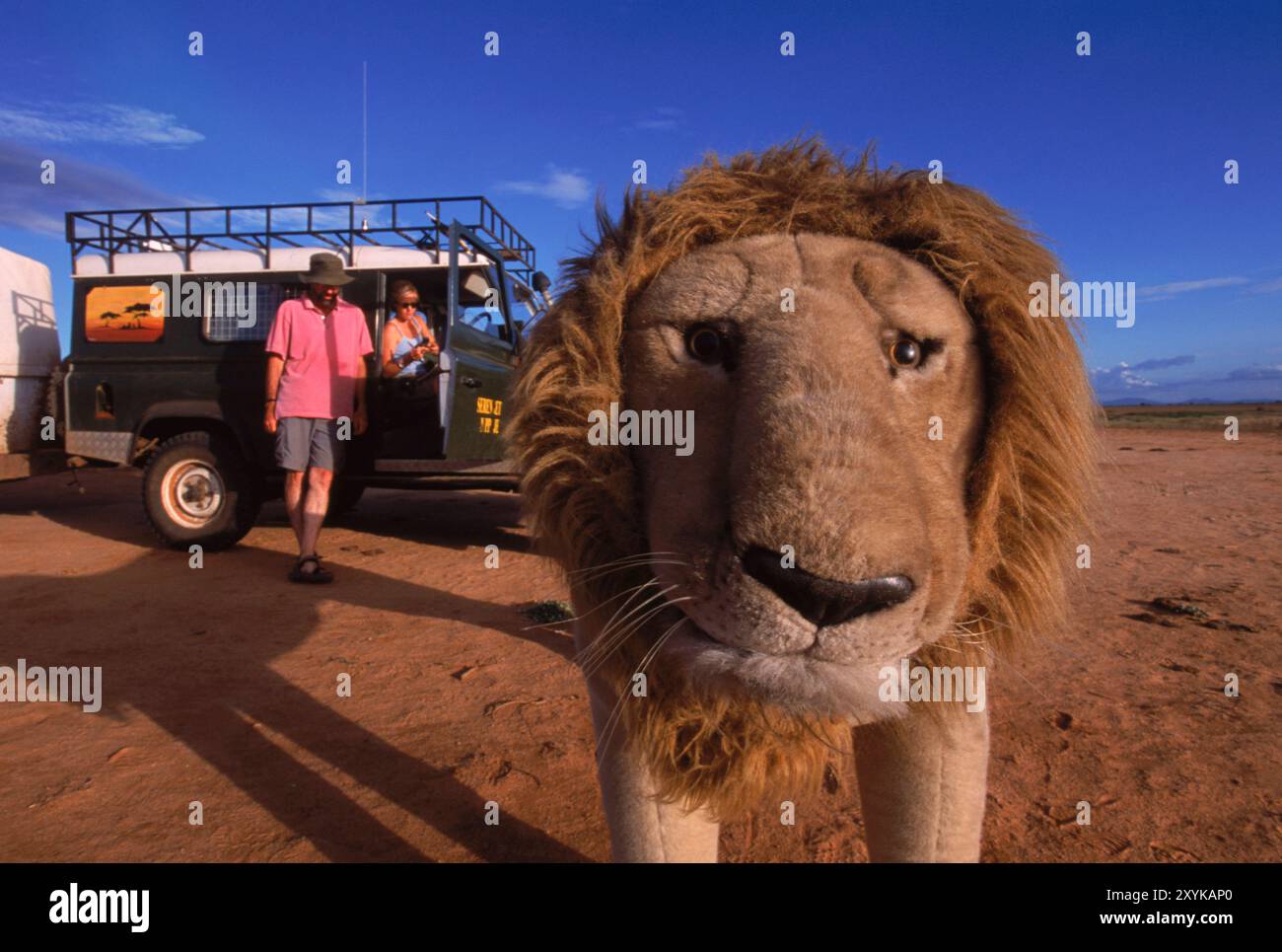 Dummy lion used to study lion behavior, Kenya Stock Photo - Alamy