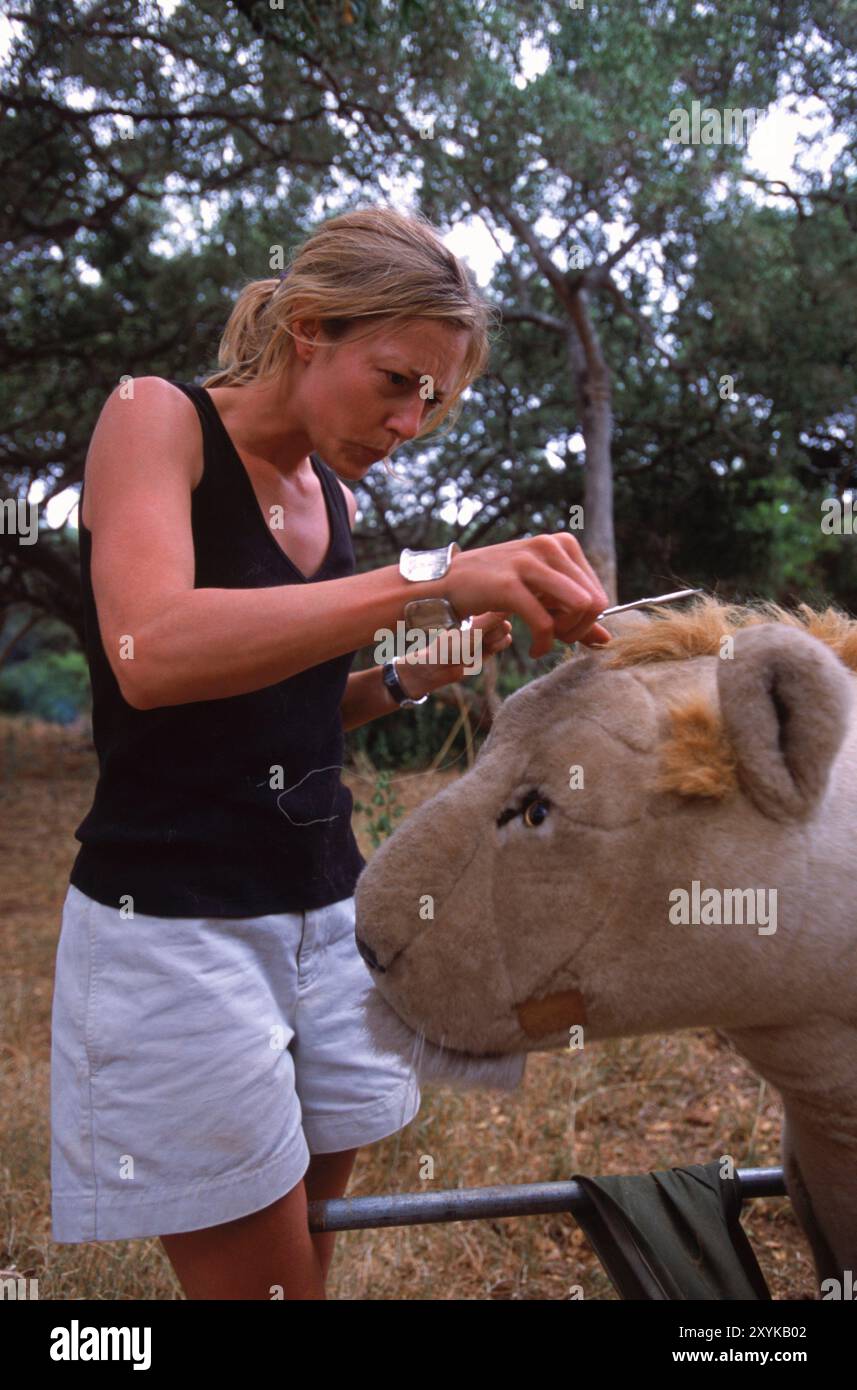 Study of behavior hi-res stock photography and images - Alamy