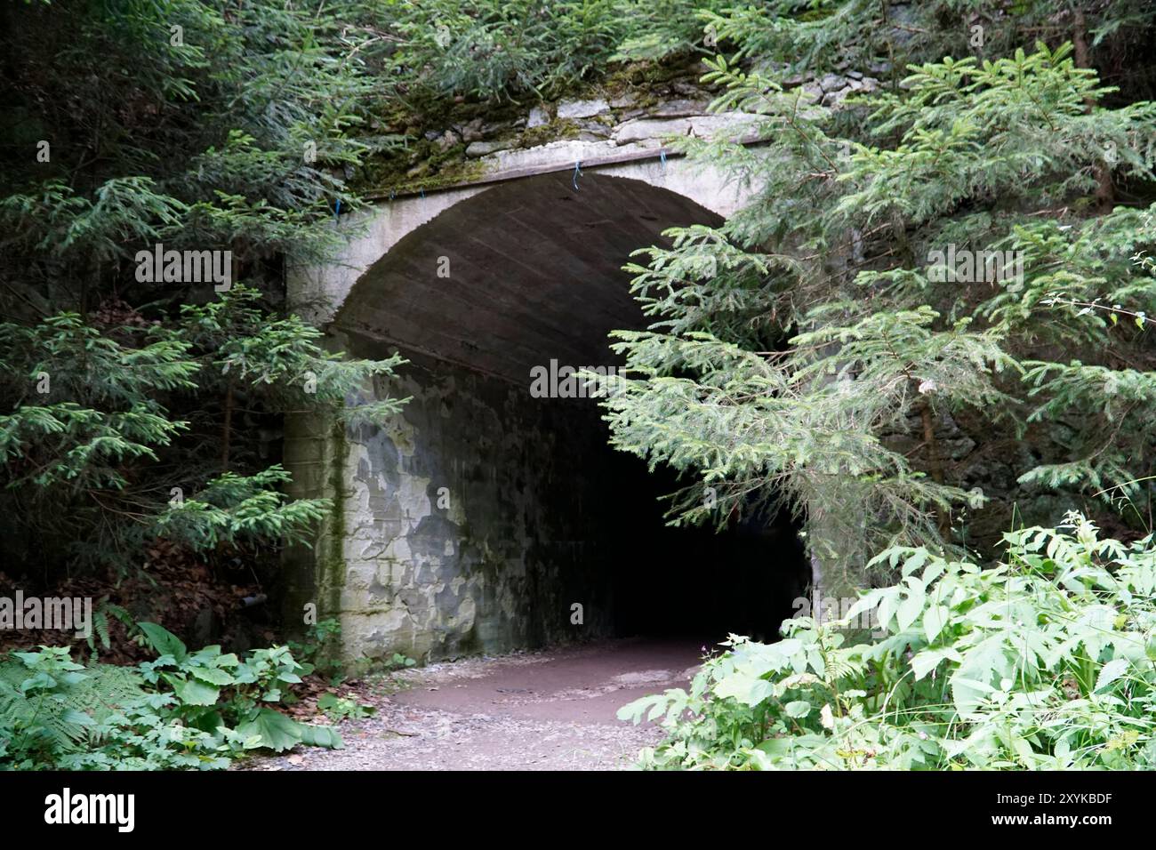 Osowka, Gluszyca, Poland - August 06th, 2024 - Entrance to III Reich ...