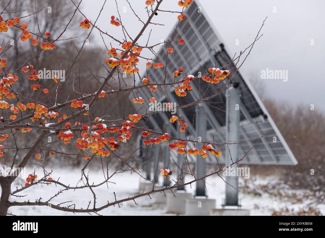 Apple energy hi-res stock photography and images - Alamy