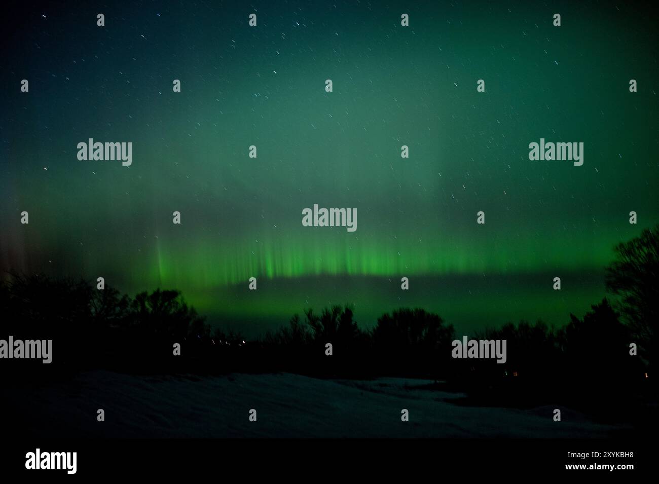Northern lights dance above tree line at night in Michigan Stock Photo ...