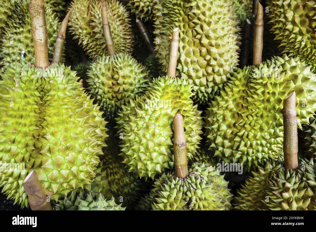 Queen of fruit hi-res stock photography and images - Alamy