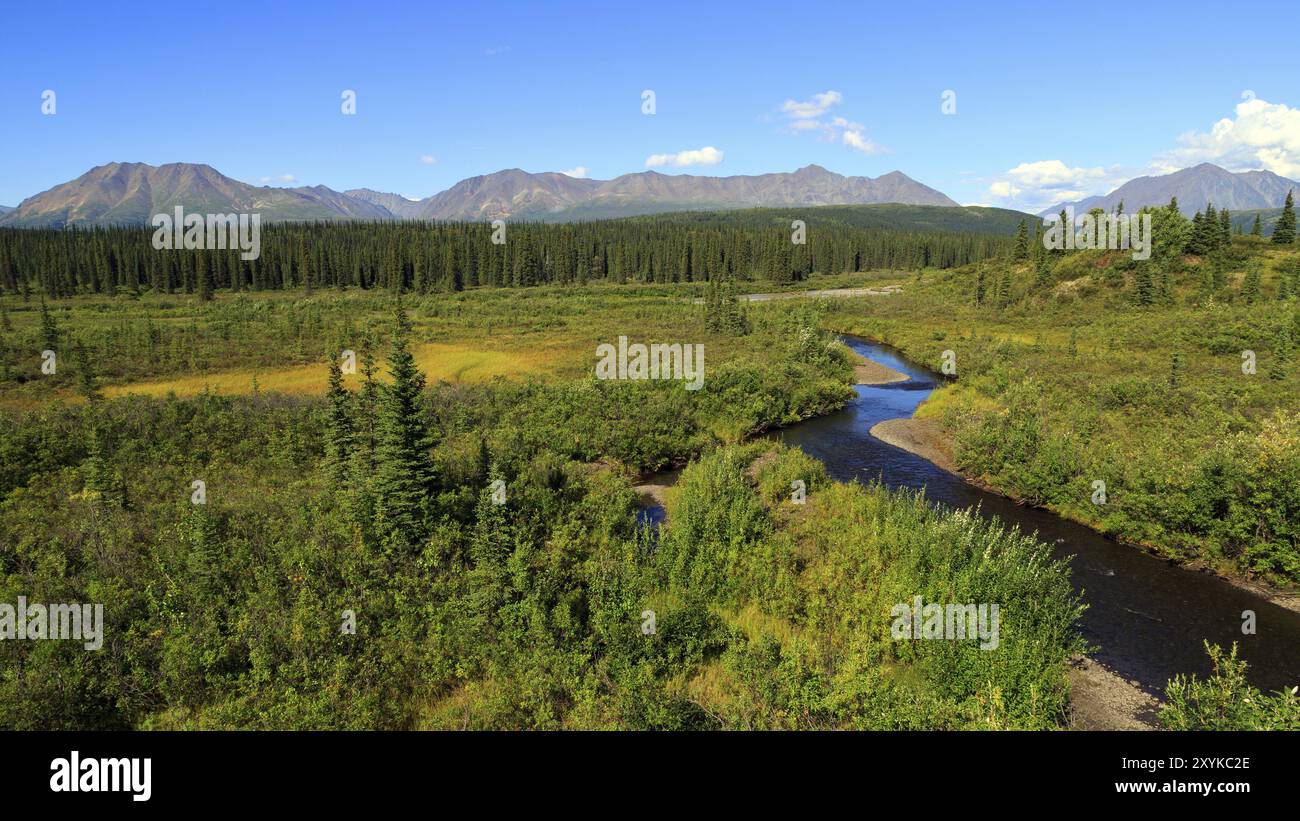 Swampy landscape alaska hi-res stock photography and images - Alamy