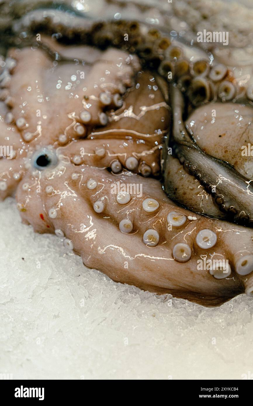 Fresh raw octopus for sale at market stall Stock Photo - Alamy