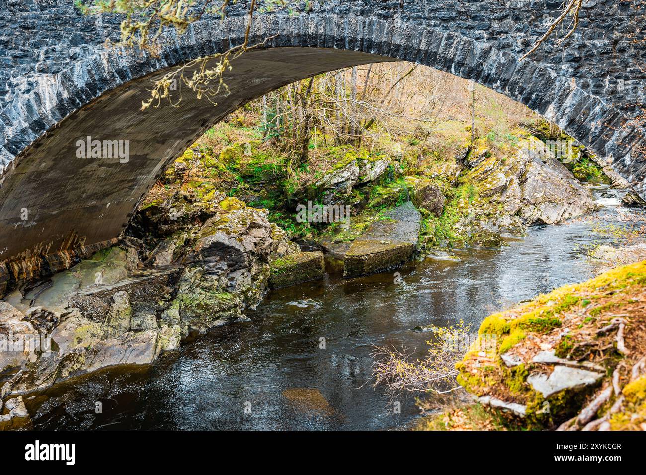 Old stone bridge in scotland hi-res stock photography and images - Alamy