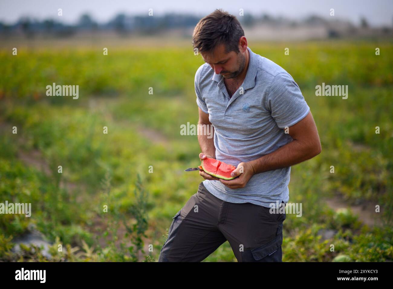 Time test horse hi-res stock photography and images - Alamy