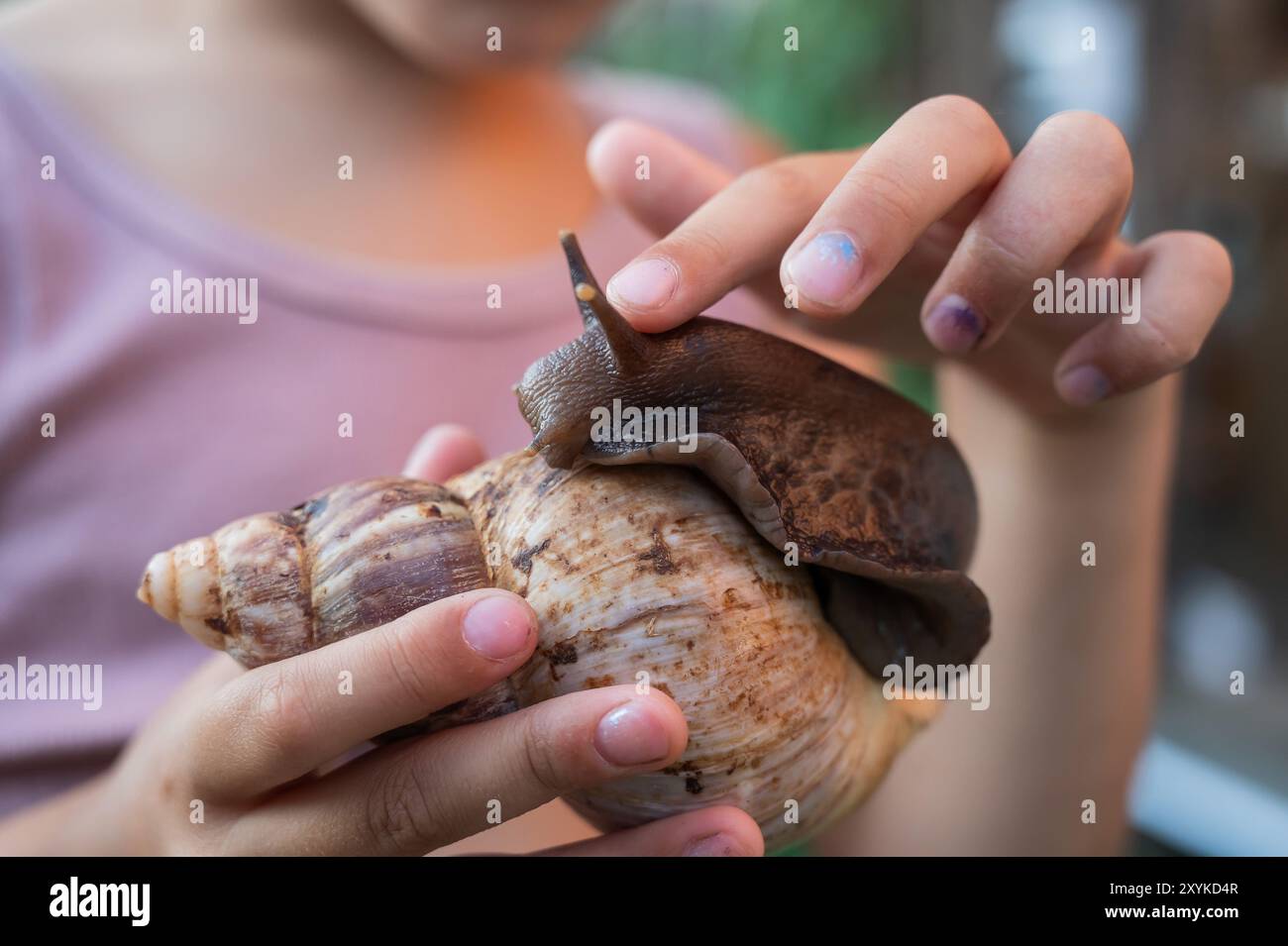 Hands holding garden slug hi-res stock photography and images - Alamy