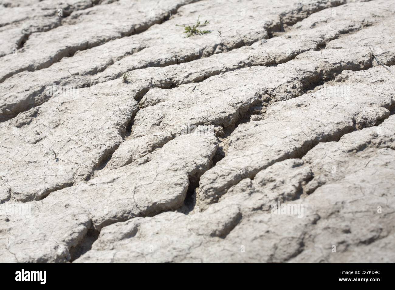 Dried out brook bed hi-res stock photography and images - Alamy