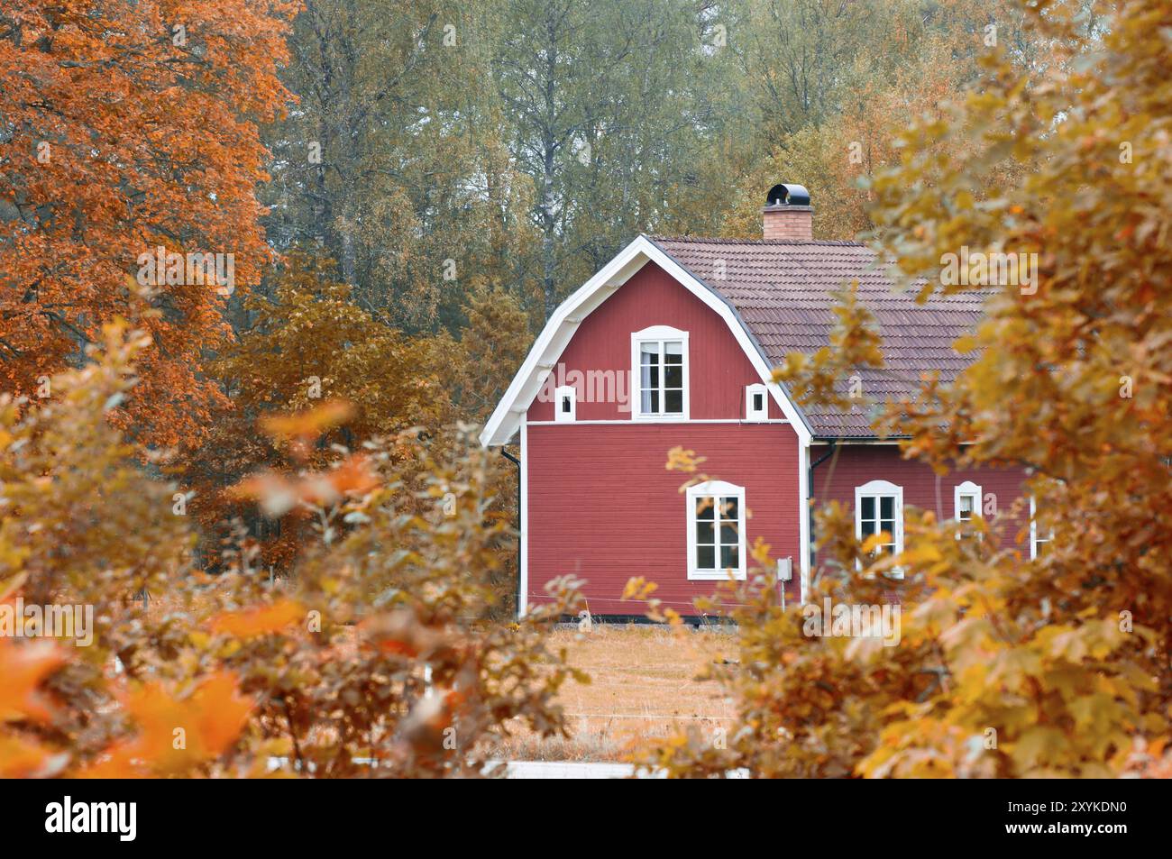Typical swedish red wooden house in autumn Stock Photo - Alamy