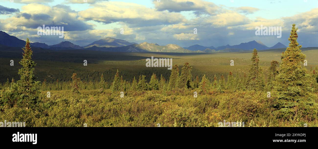 Alaska usa marshes wetlands hi-res stock photography and images - Alamy