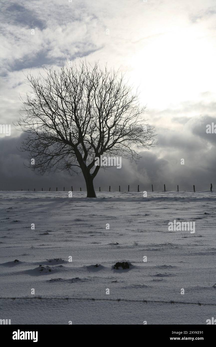 Light mantle of snow hi-res stock photography and images - Alamy