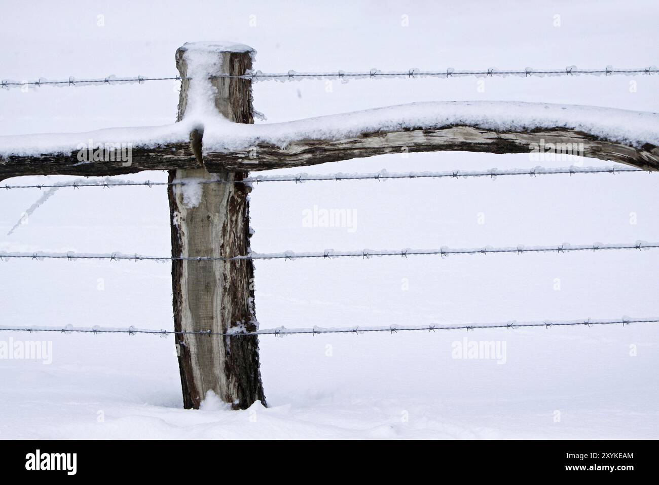 Safety barriers fence cordon hi-res stock photography and images - Alamy