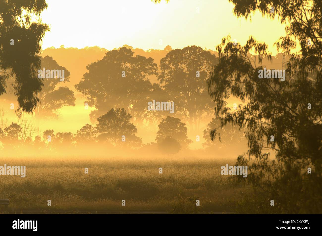 Golden mist rising hi-res stock photography and images - Alamy