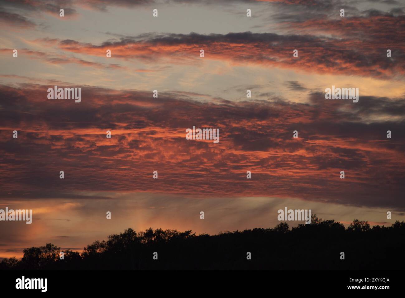 Lit up by the sun hi-res stock photography and images - Alamy