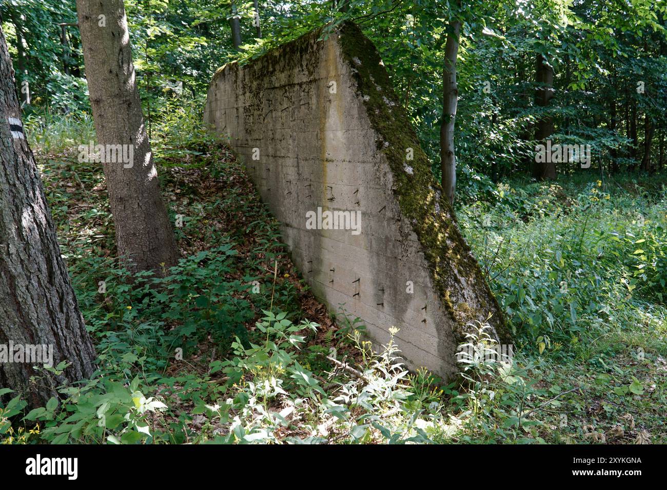 Osowka, Gluszyca, Poland - August 06th, 2024 - Remains of train station ...