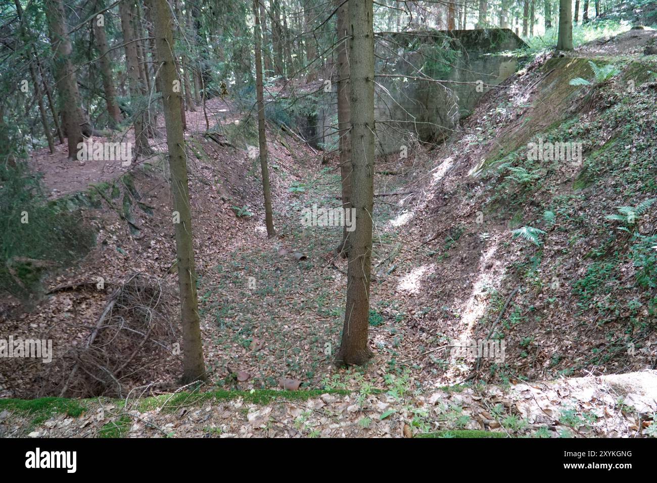 Osowka, Gluszyca, Poland - August 06th, 2024 - Remains of train station ...