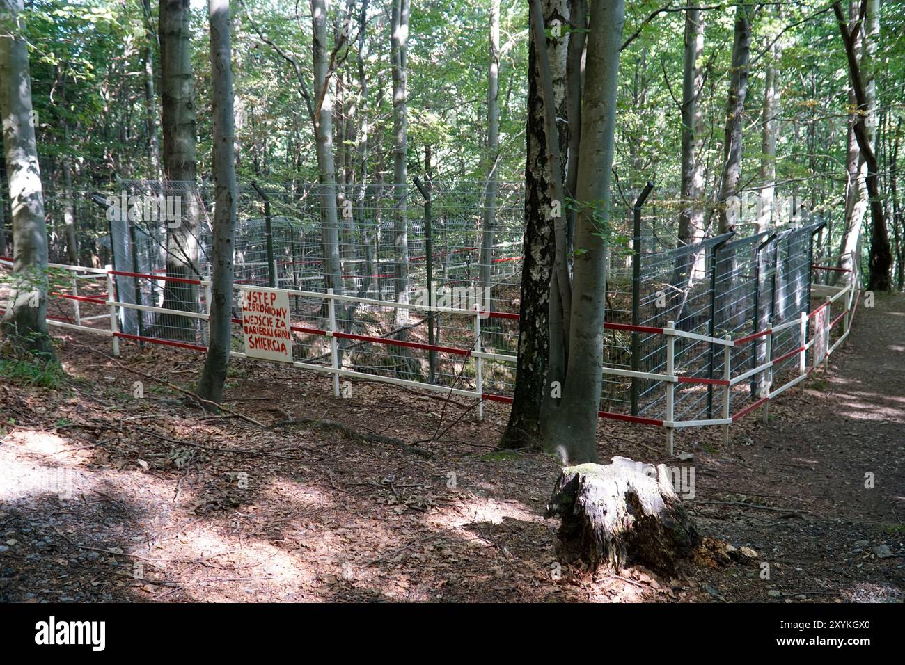 Osowka, Gluszyca, Poland - August 06th, 2024 - Underground shaft at III ...