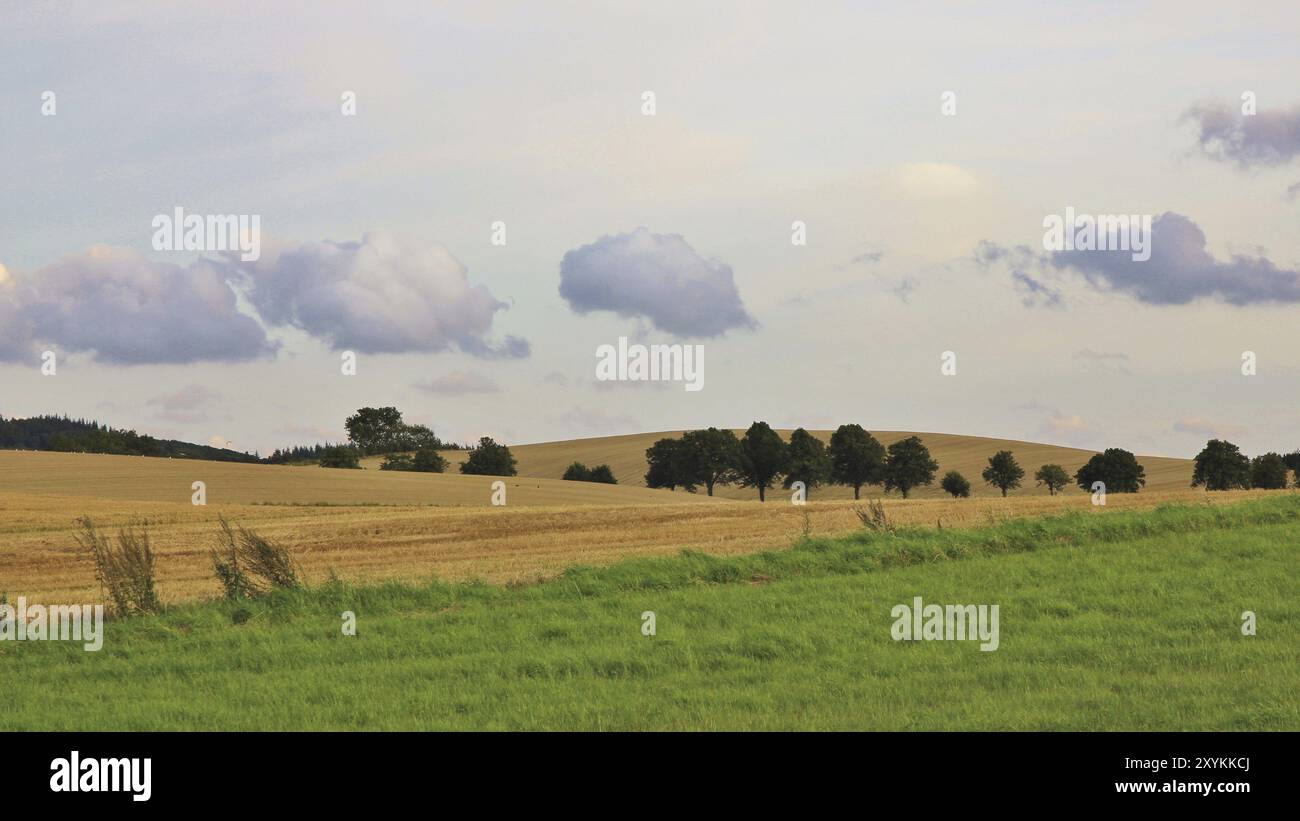 Green meadow and field in Zealand, Denmark. Rural summer scene Stock ...