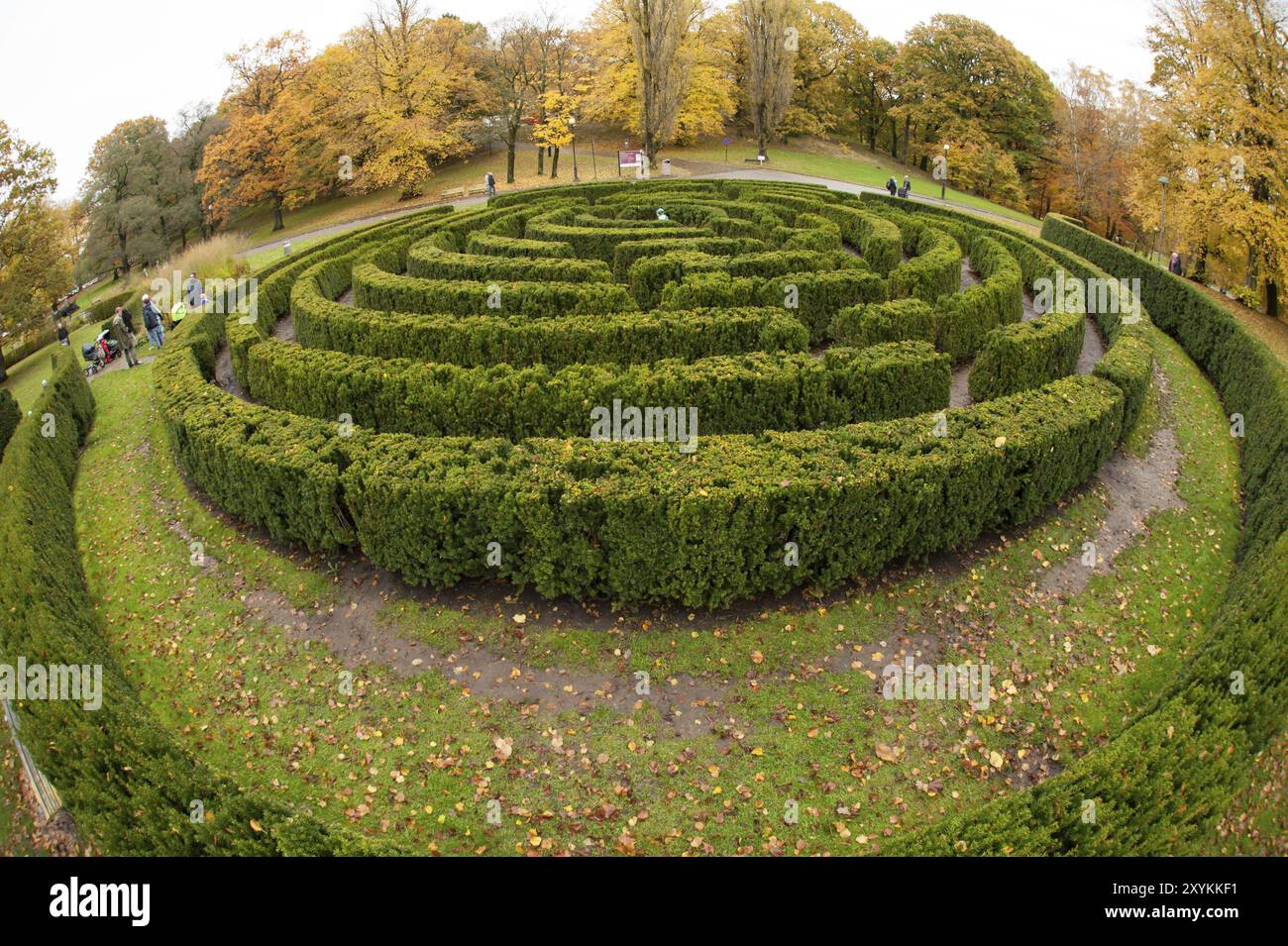 Maze hedge people hi-res stock photography and images - Alamy