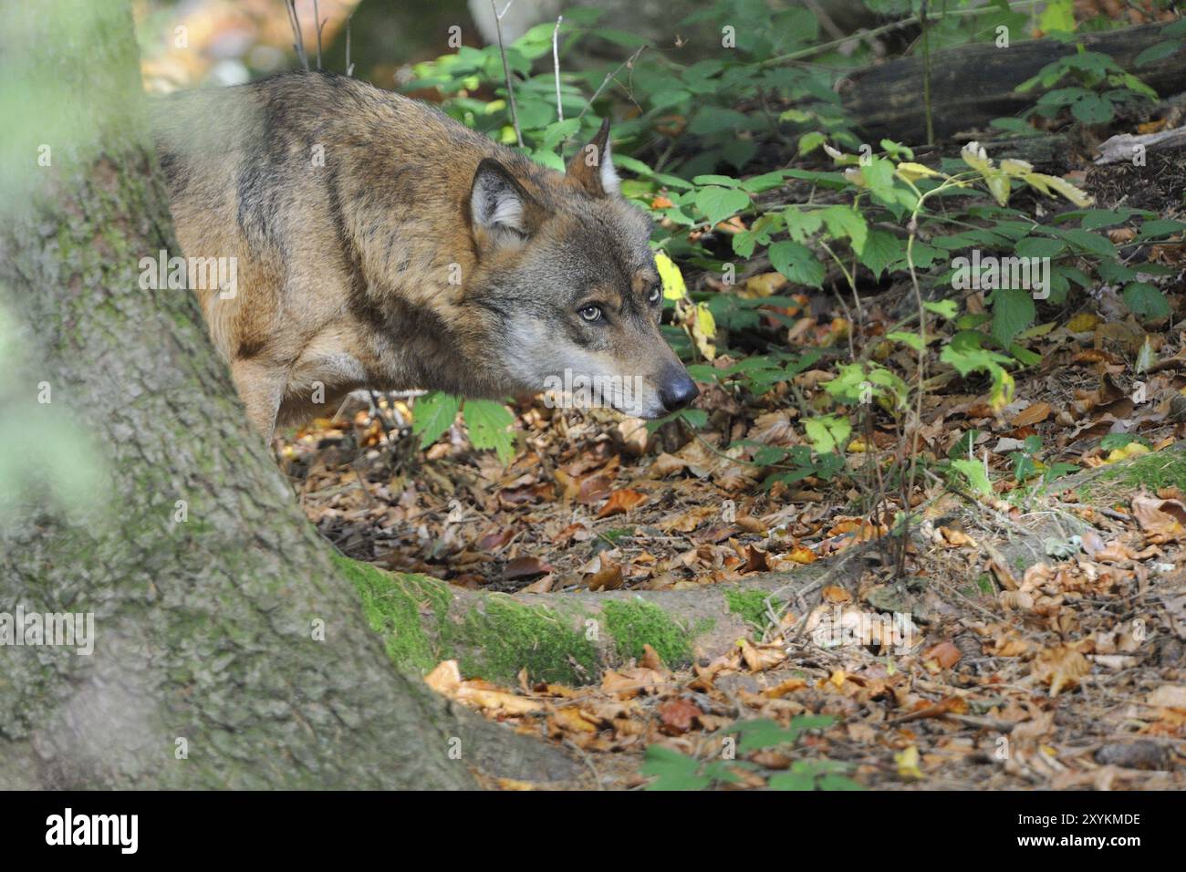 Position titles hi-res stock photography and images - Alamy