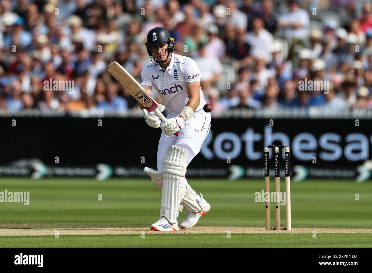 Safety potts hi-res stock photography and images - Alamy