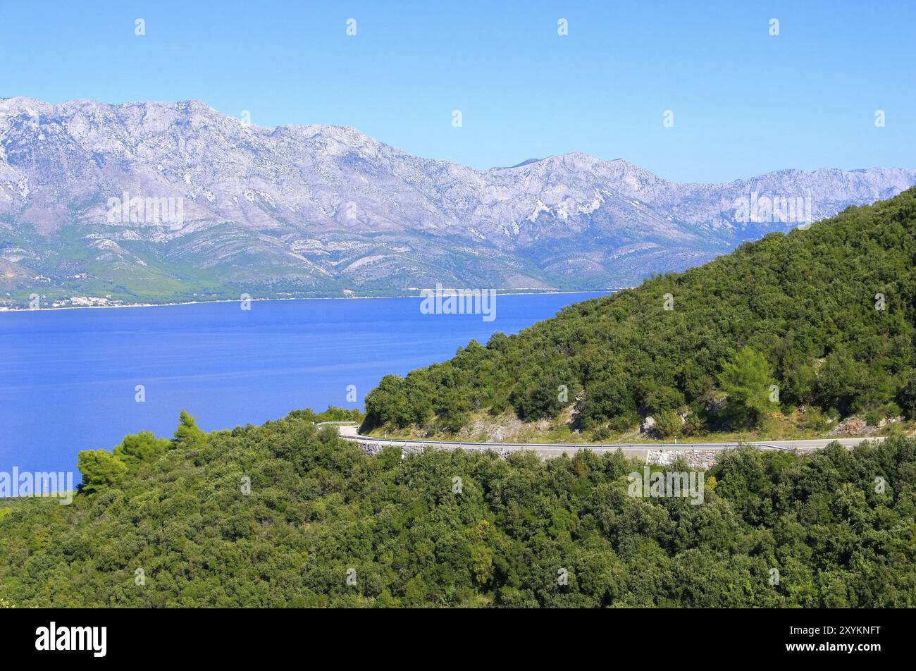 Shrublands road hi-res stock photography and images - Alamy