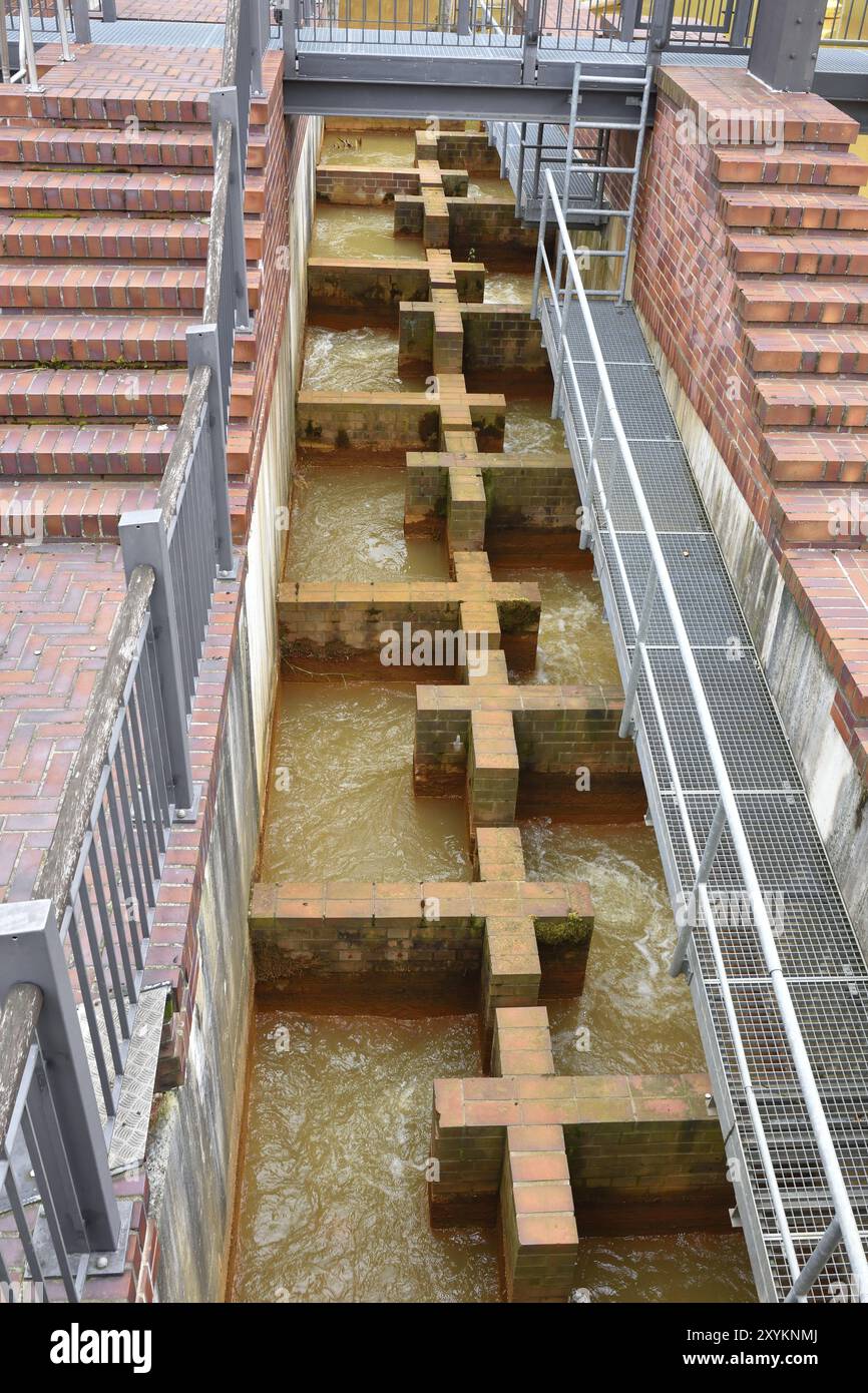 Fish ladder, fish ladder on the Spree in Spremberg Stock Photo - Alamy