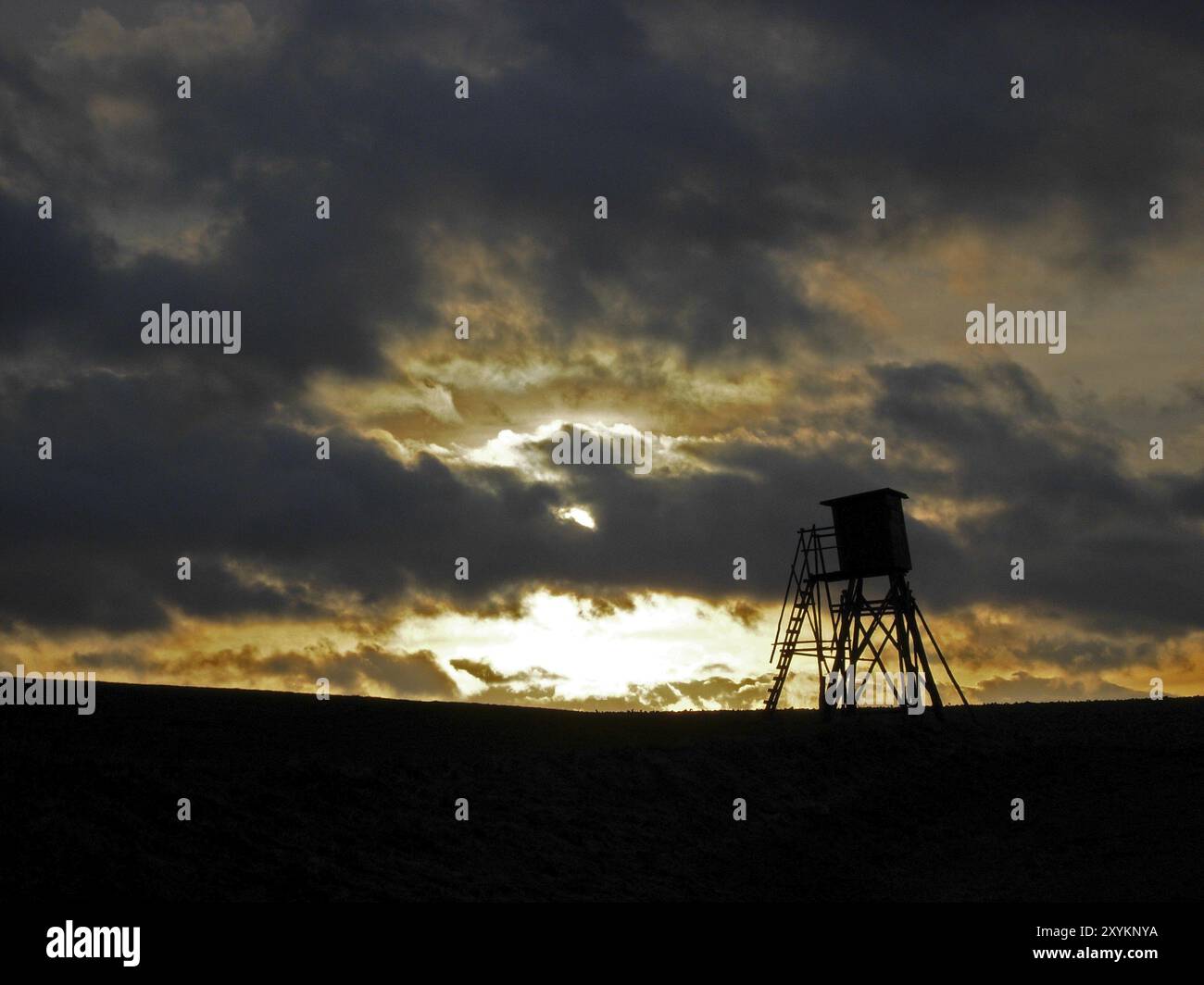 High seat against the light Stock Photo - Alamy