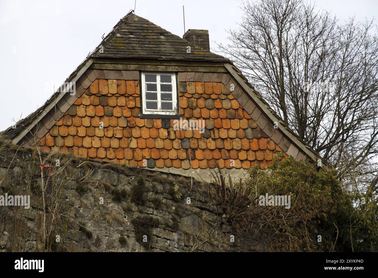 Sternberg centre hi-res stock photography and images - Alamy