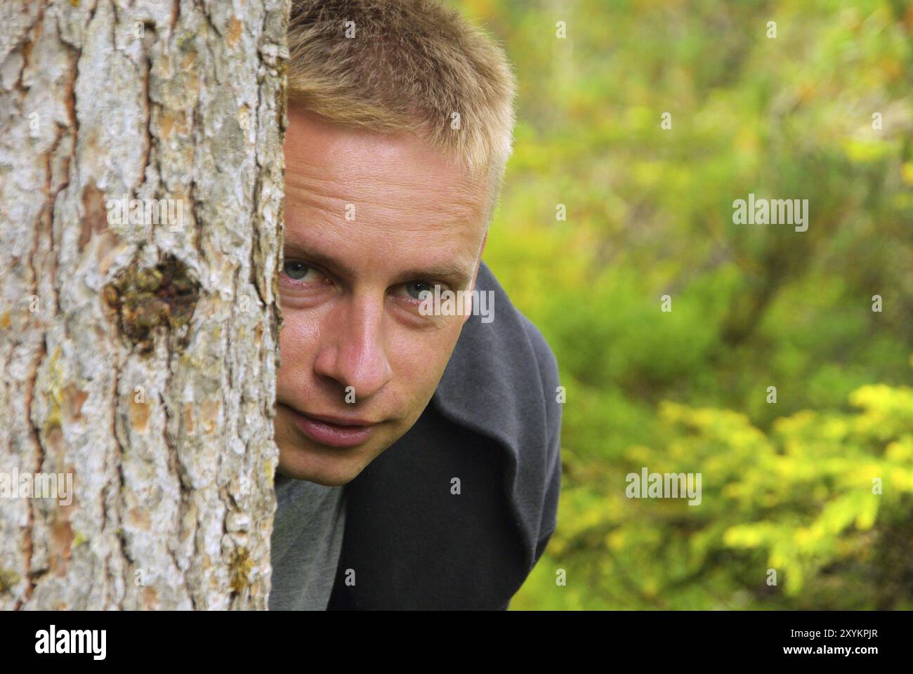 Man behind tree, man behind tree Stock Photo - Alamy