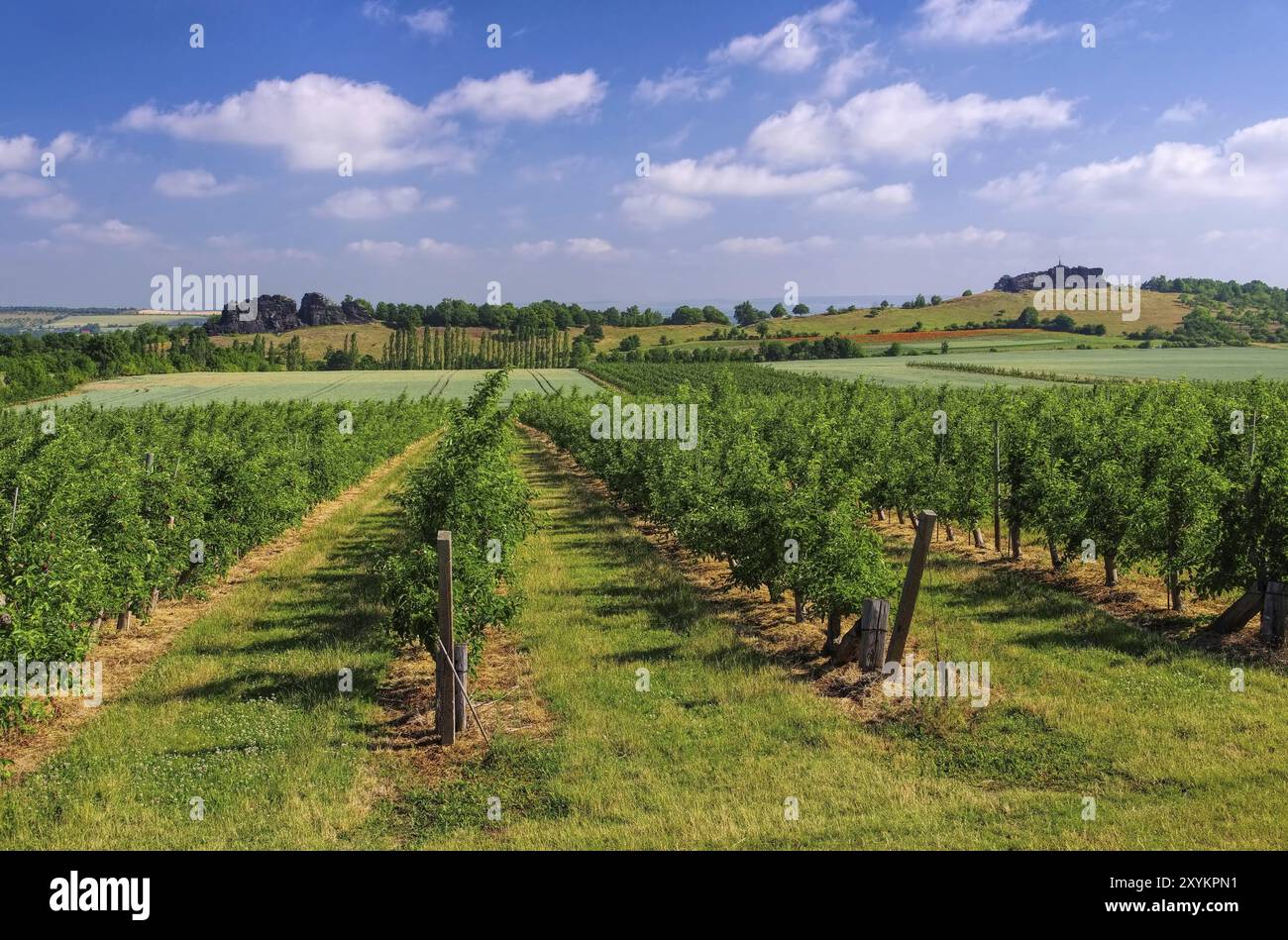 Crops and stone walls hi-res stock photography and images - Alamy