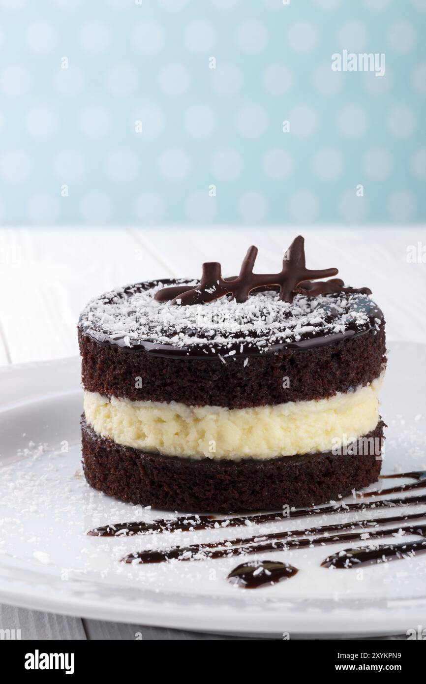 Chocolate layered sponge cake with coconut Stock Photo - Alamy