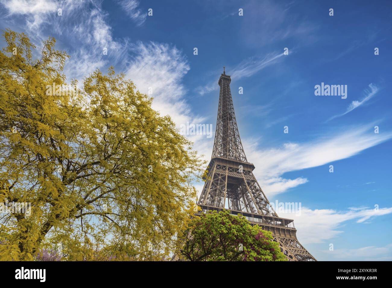 Eiffel tower garden sight spring tower hi-res stock photography and ...
