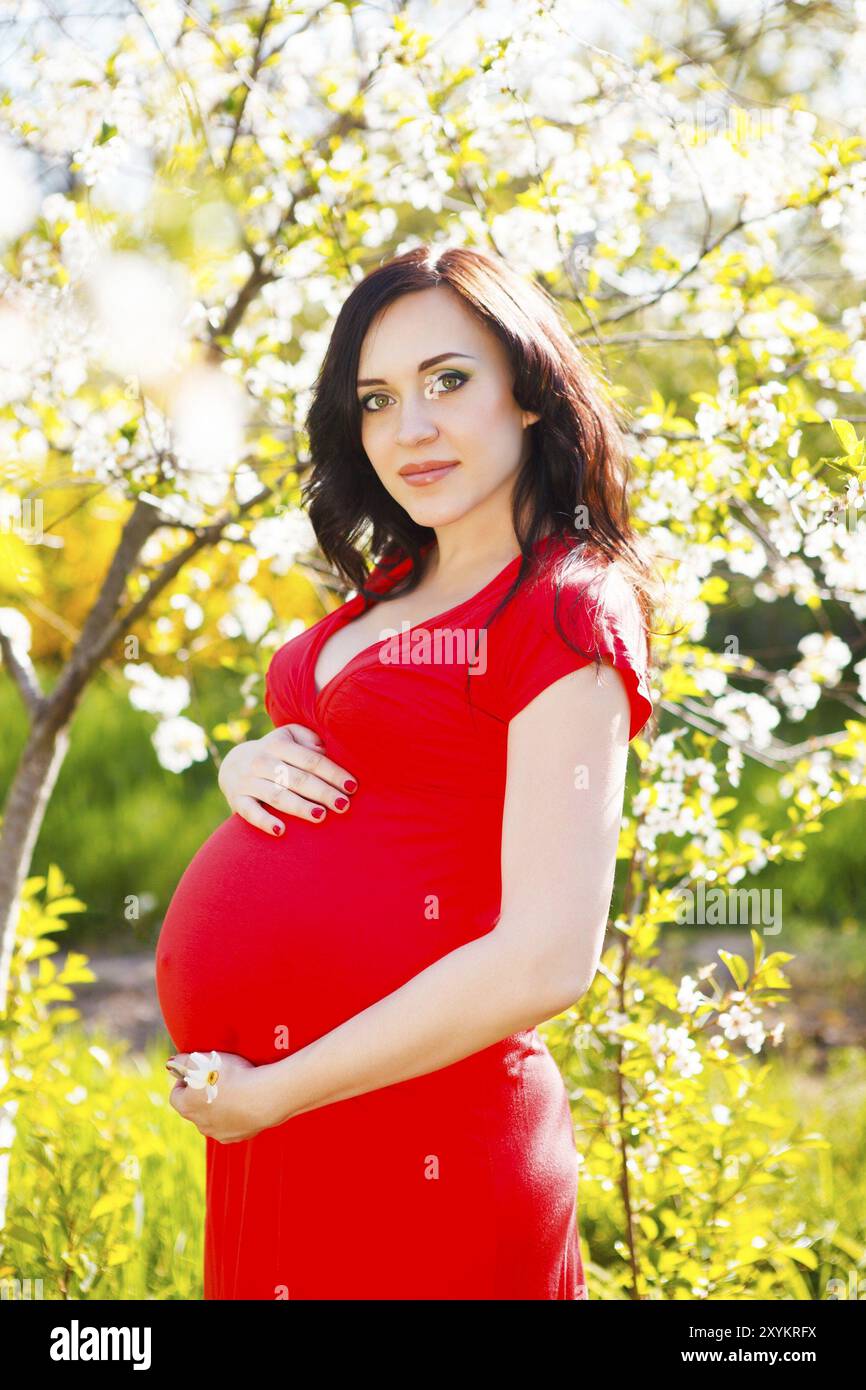 Portrait of beautiful pregnant woman in white dress in the flowering ...