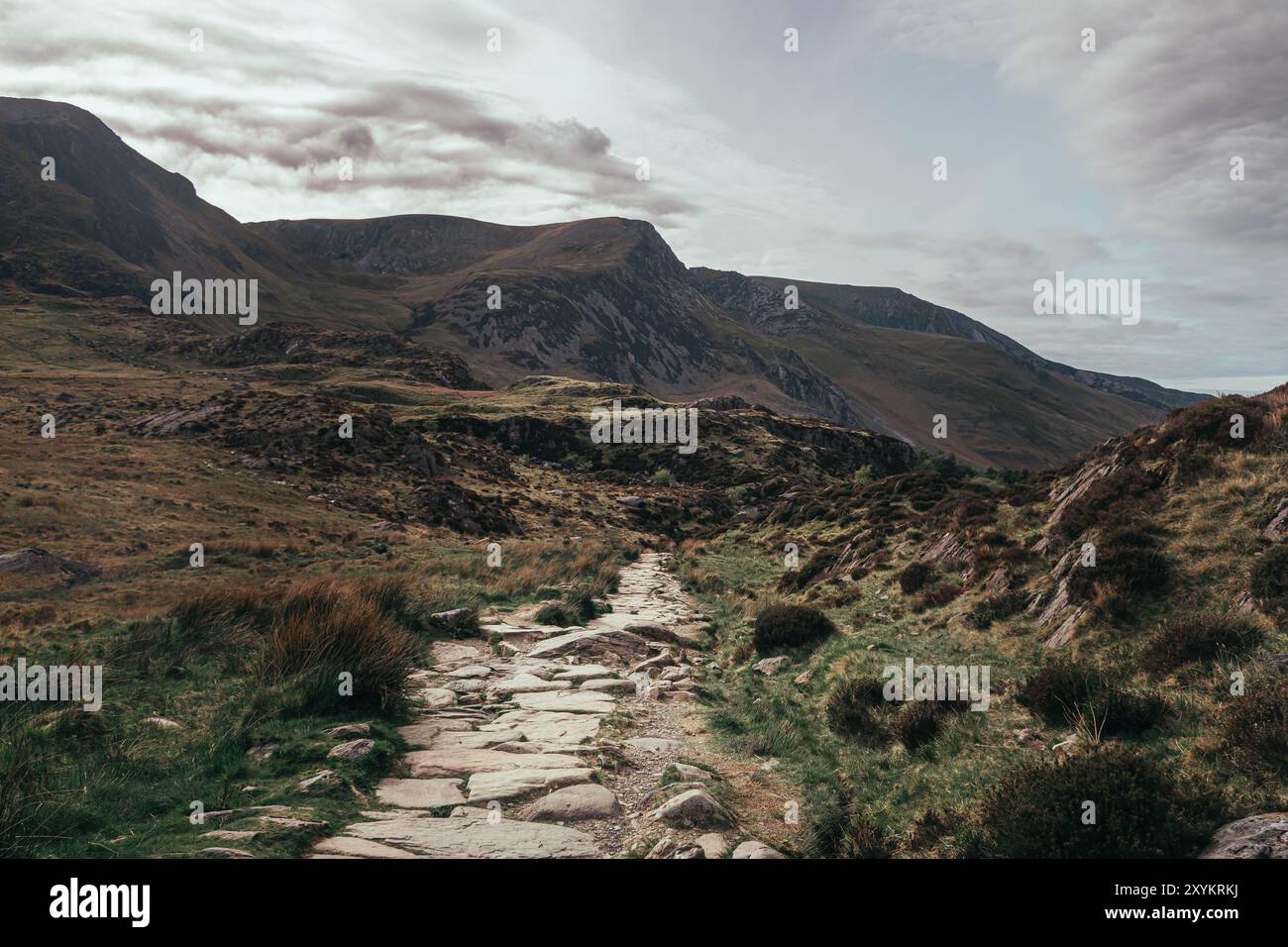 Stone path through mountains hi-res stock photography and images - Alamy