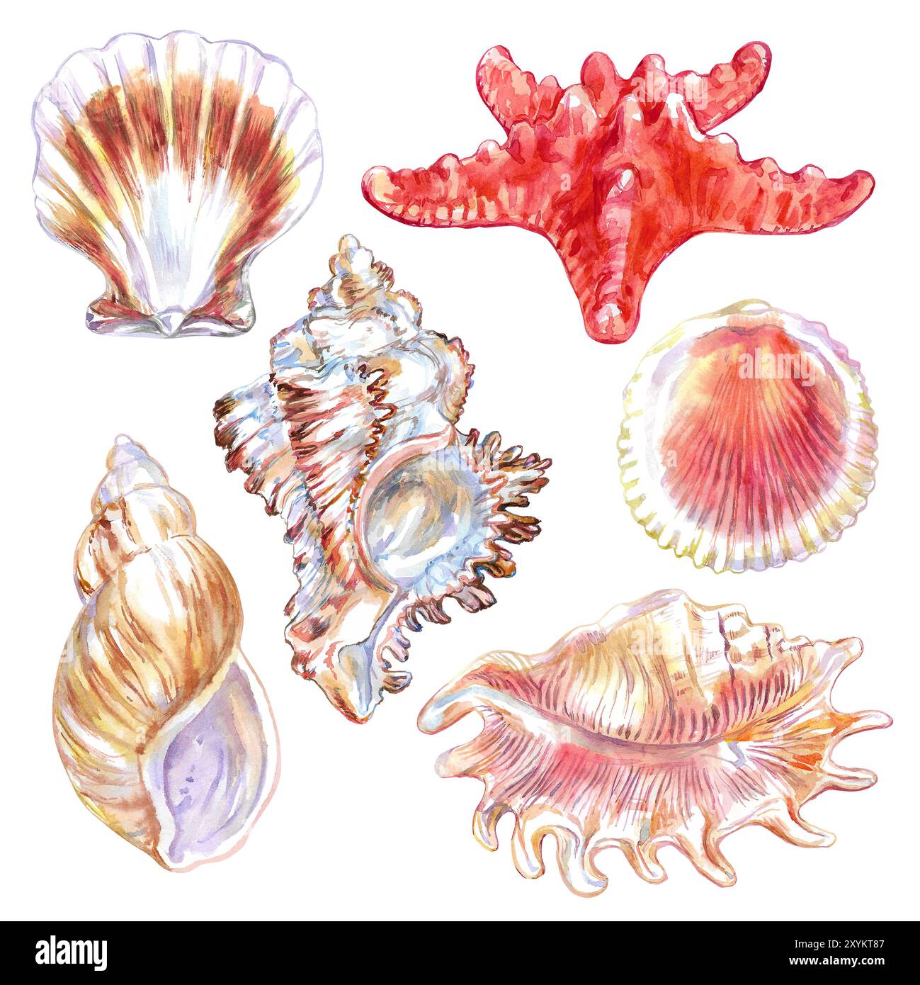 Shells and sea creatures set underwater world in watercolor hand drawn ...