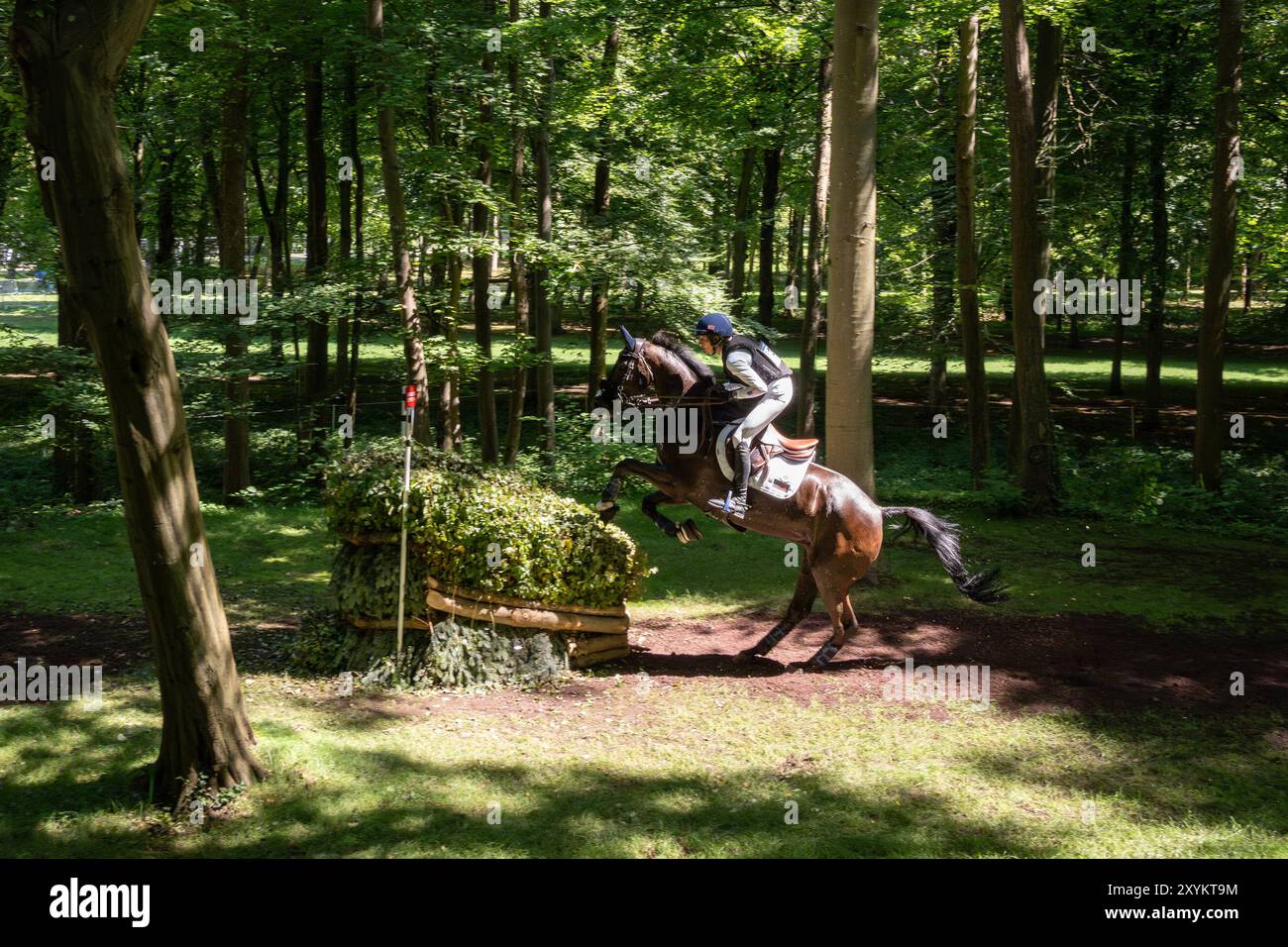 A rider races her horse during the eventing team cross country and the ...