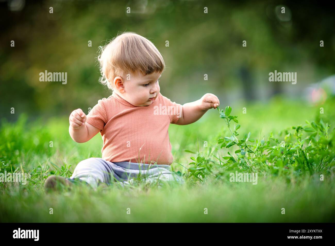 A young child sits on soft green grass, captivated by a small plant ...