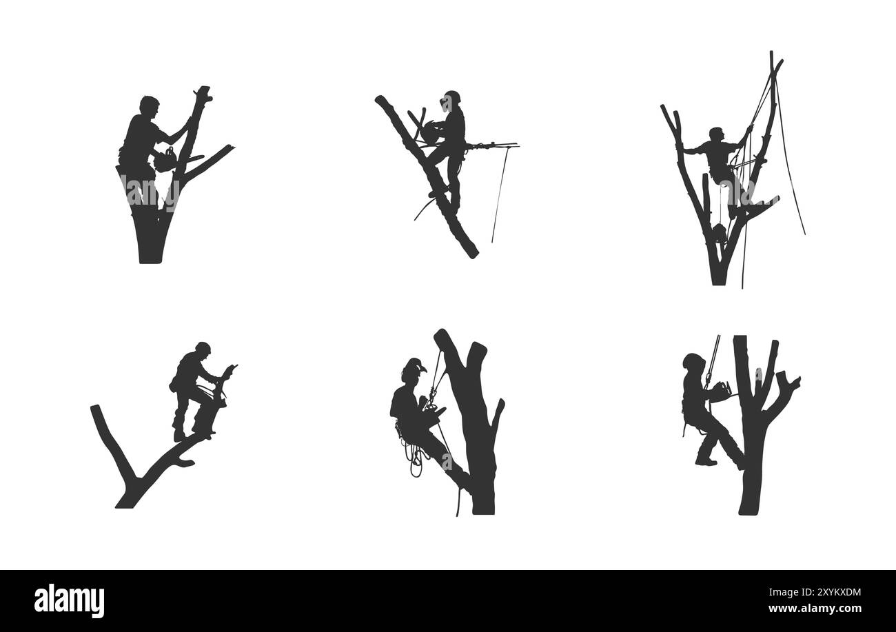 Tree surgeon silhouette Cut Out Stock Images & Pictures - Alamy