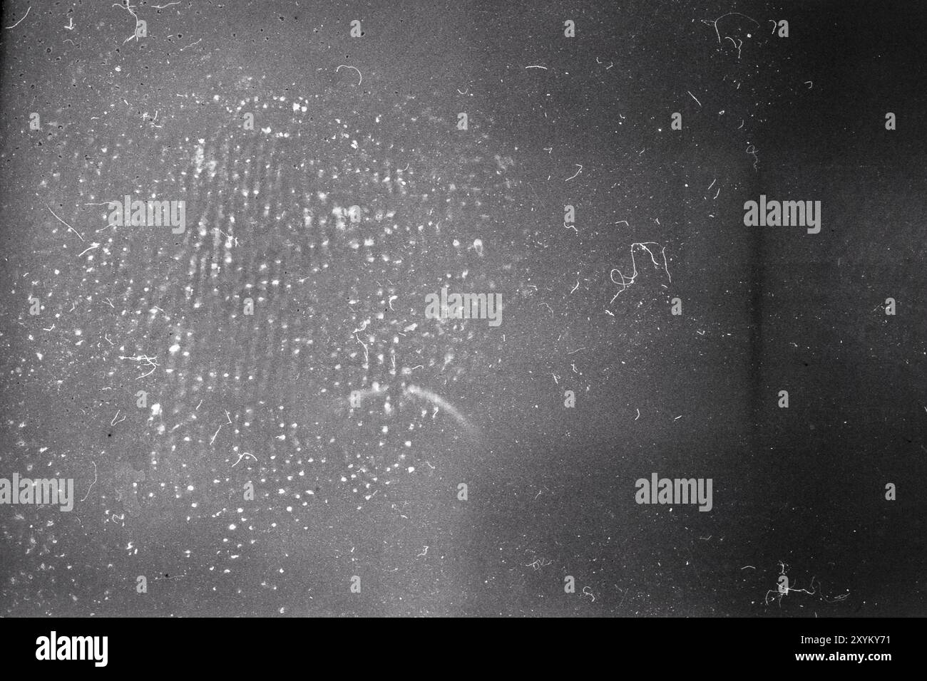 Blank grained film strip texture background with heavy grain, dust and ...