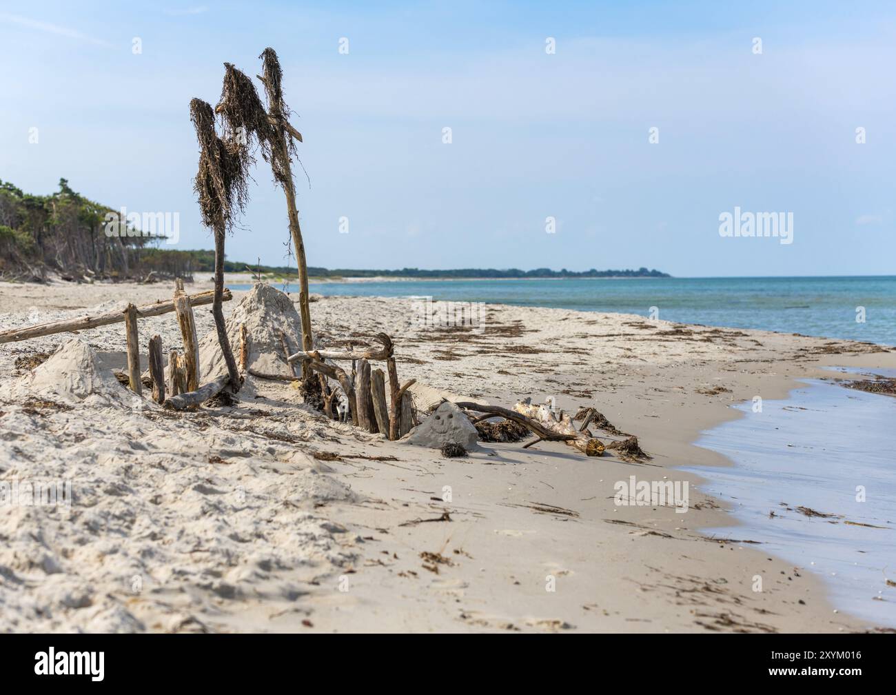 German Baltic Sea coast with seaweed, sea grass and sand dunes, grass ...