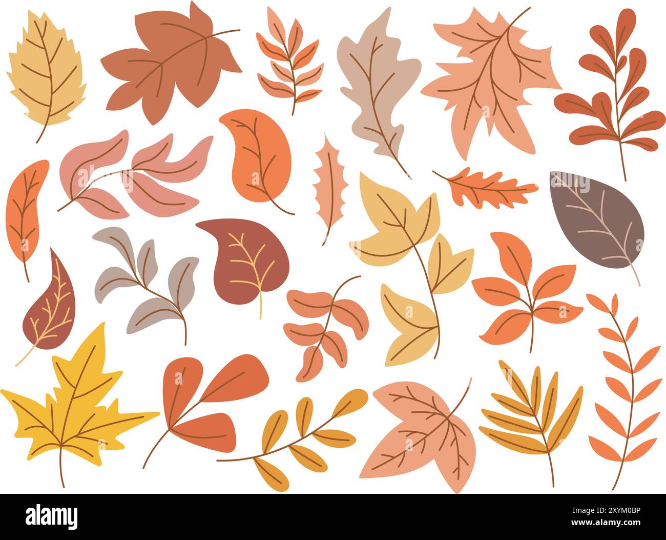 Set of colorful autumn leaves. Yellow red orange and brown tree ...