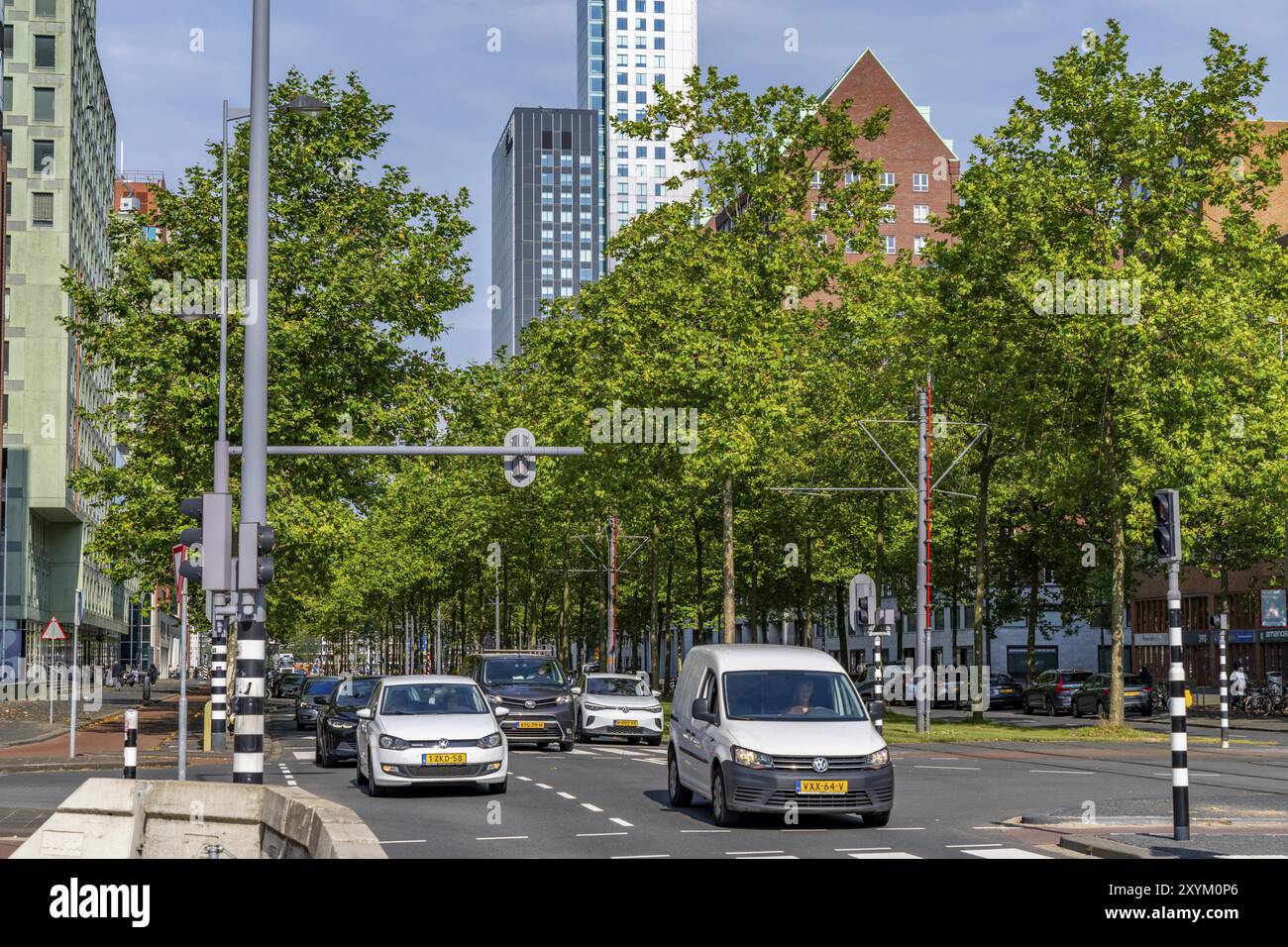 Urban greening, inner-city street Laan op Zuid, in Rotterdam's ...