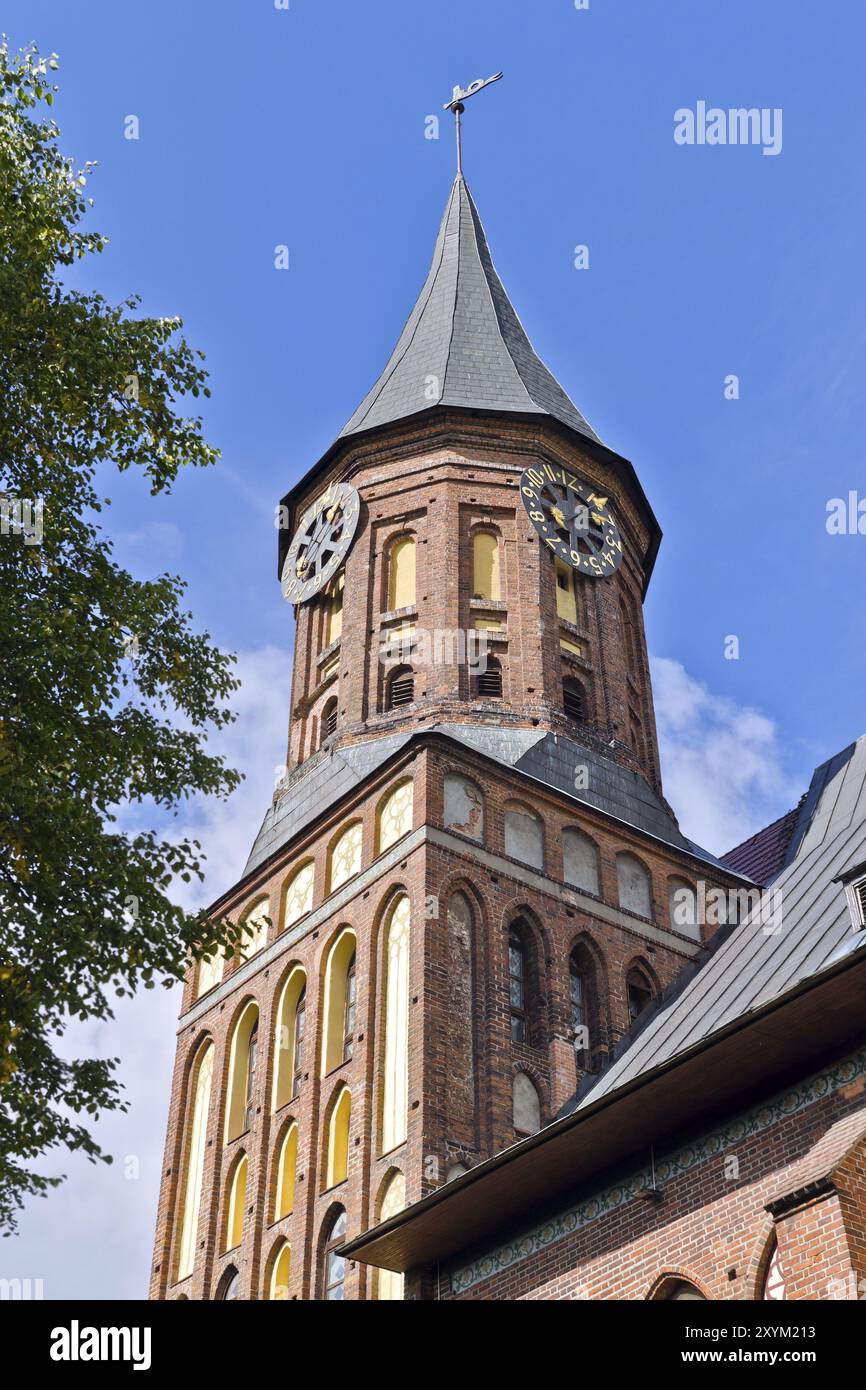 Koenigsberg Cathedral, Gothic temple of the 14th century. Symbol of ...