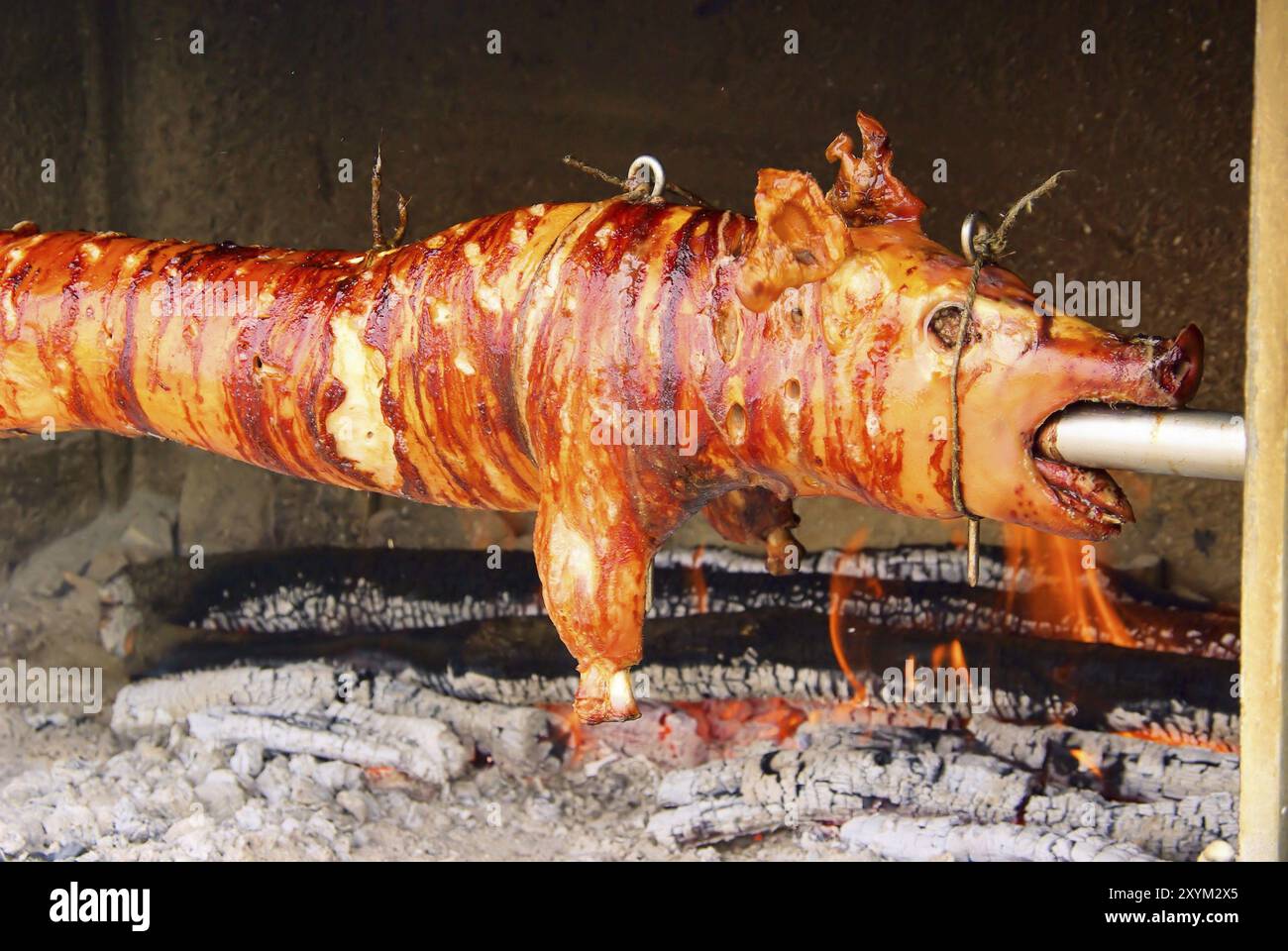 Pigling hi-res stock photography and images - Alamy