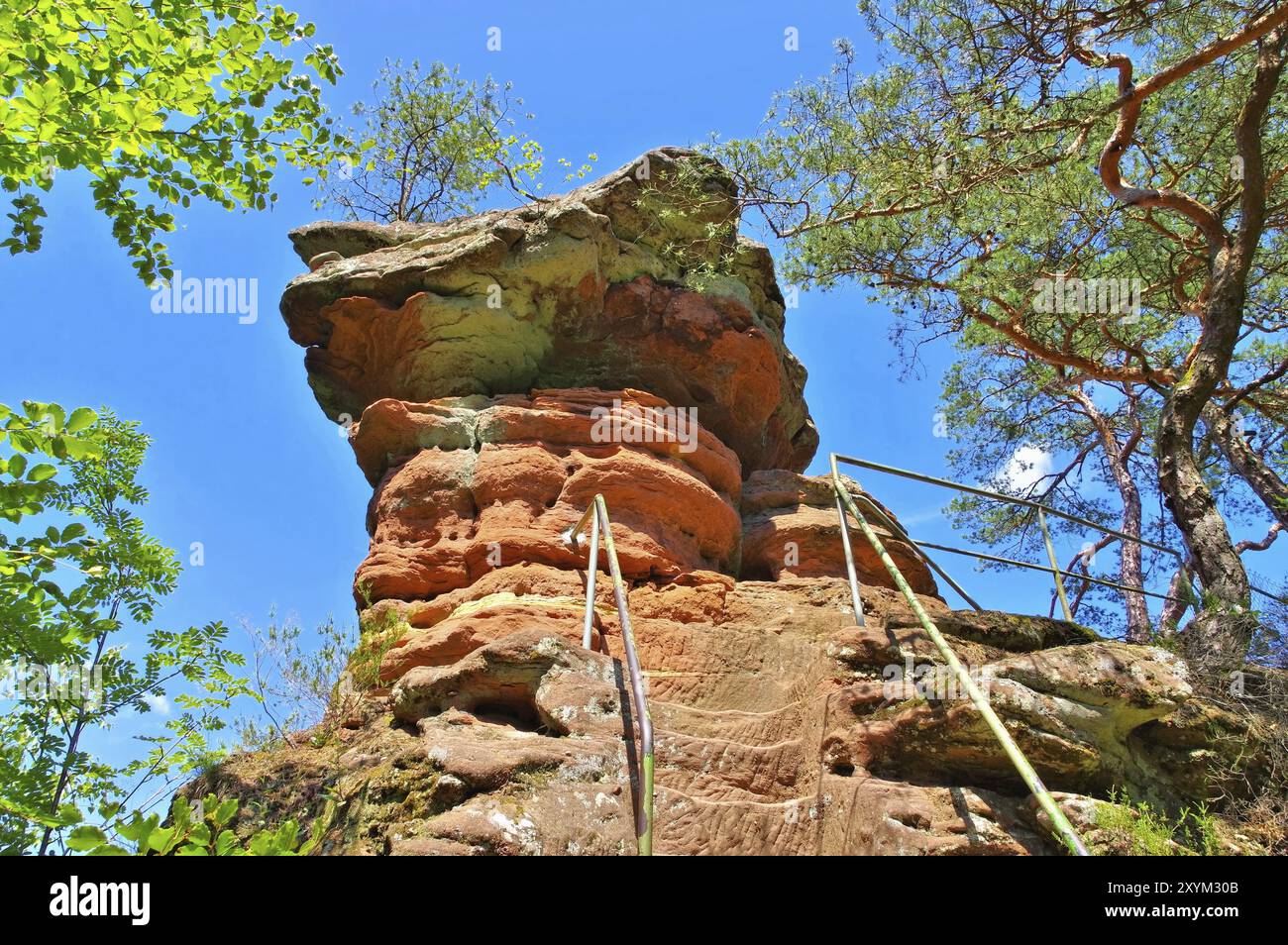 Rockland woods hi-res stock photography and images - Alamy
