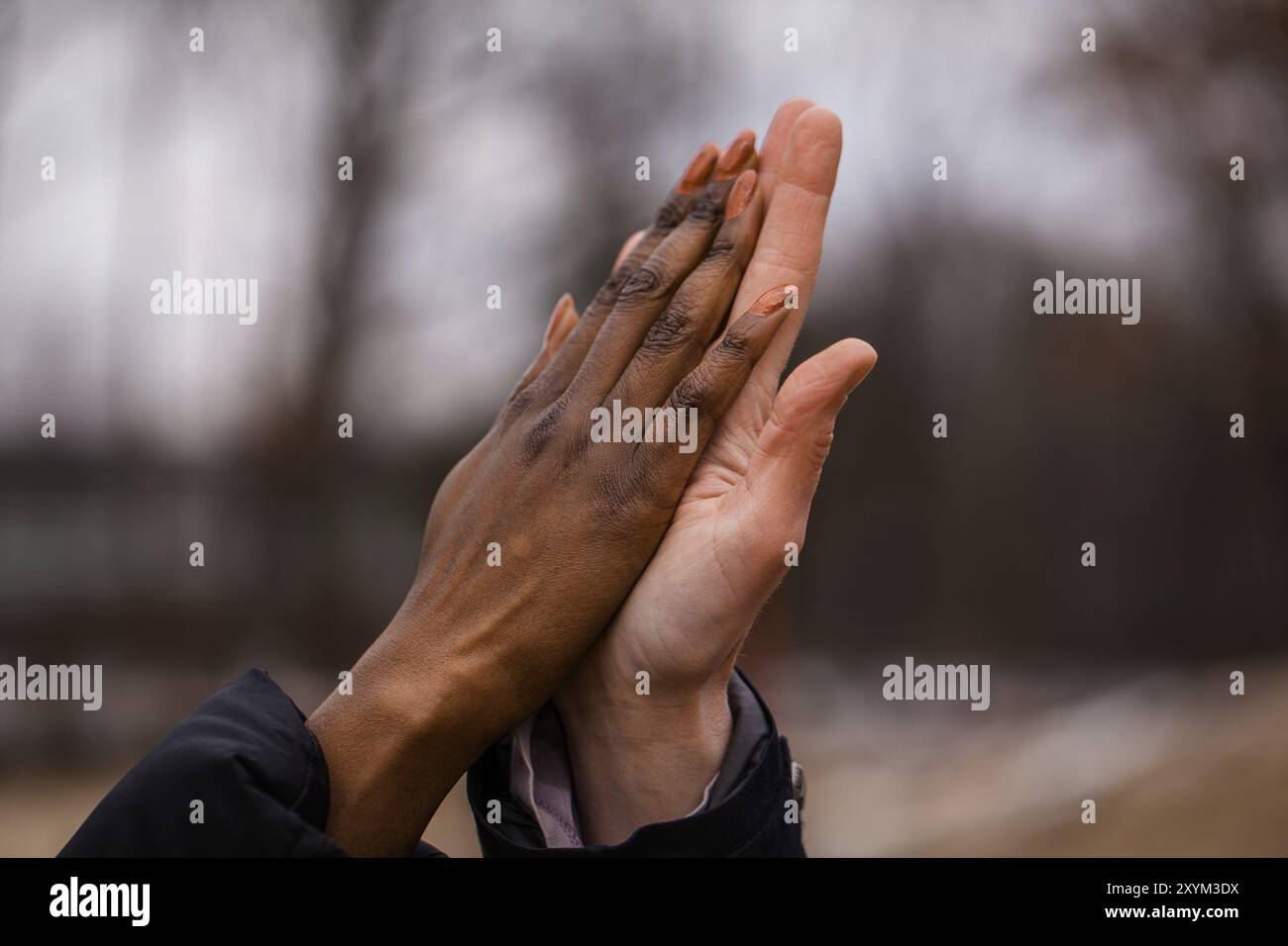 Two friends high-fiving each other Stock Photo - Alamy