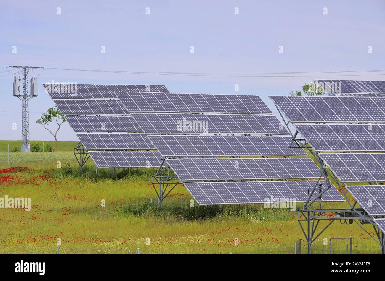 Solar plant on field, solar plant on field 09 Stock Photo - Alamy